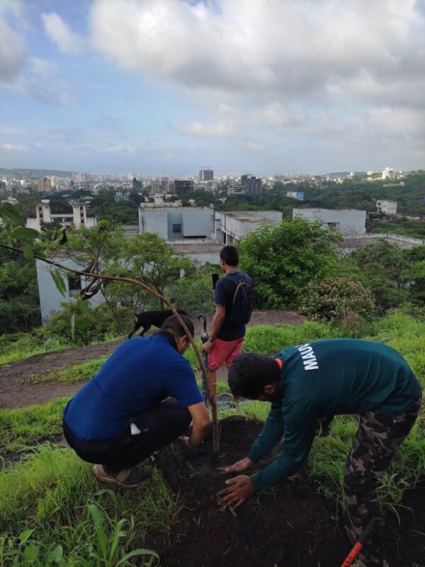 Save The Environment! Plant Trees, Protect Trees, and Nurture Trees ...